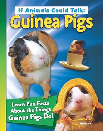 Guinea Pigs: Learn Fun Facts about the Things Guinea Pigs Do ...